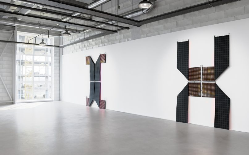 Viewing Room - Steven Cottingham: Worldwide Cobweb - WAAP