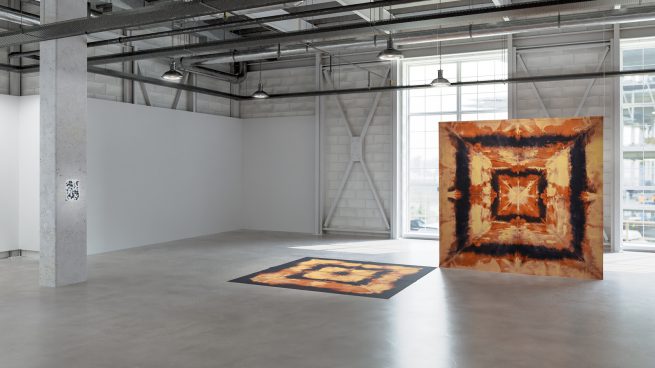 Viewing Room - Steven Cottingham: Worldwide Cobweb - WAAP